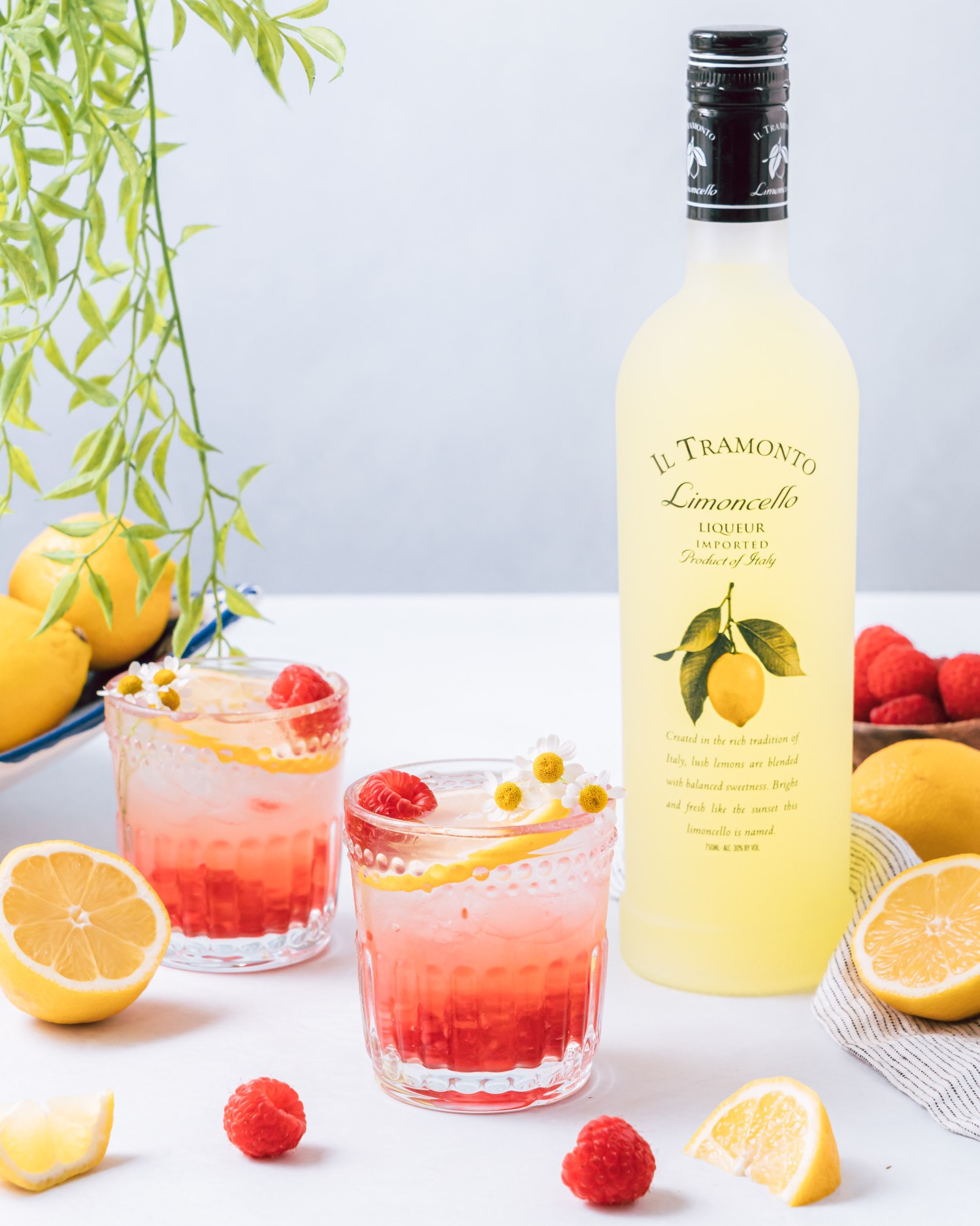 Raspberry Lemonade Cocktail - The Social Sipper