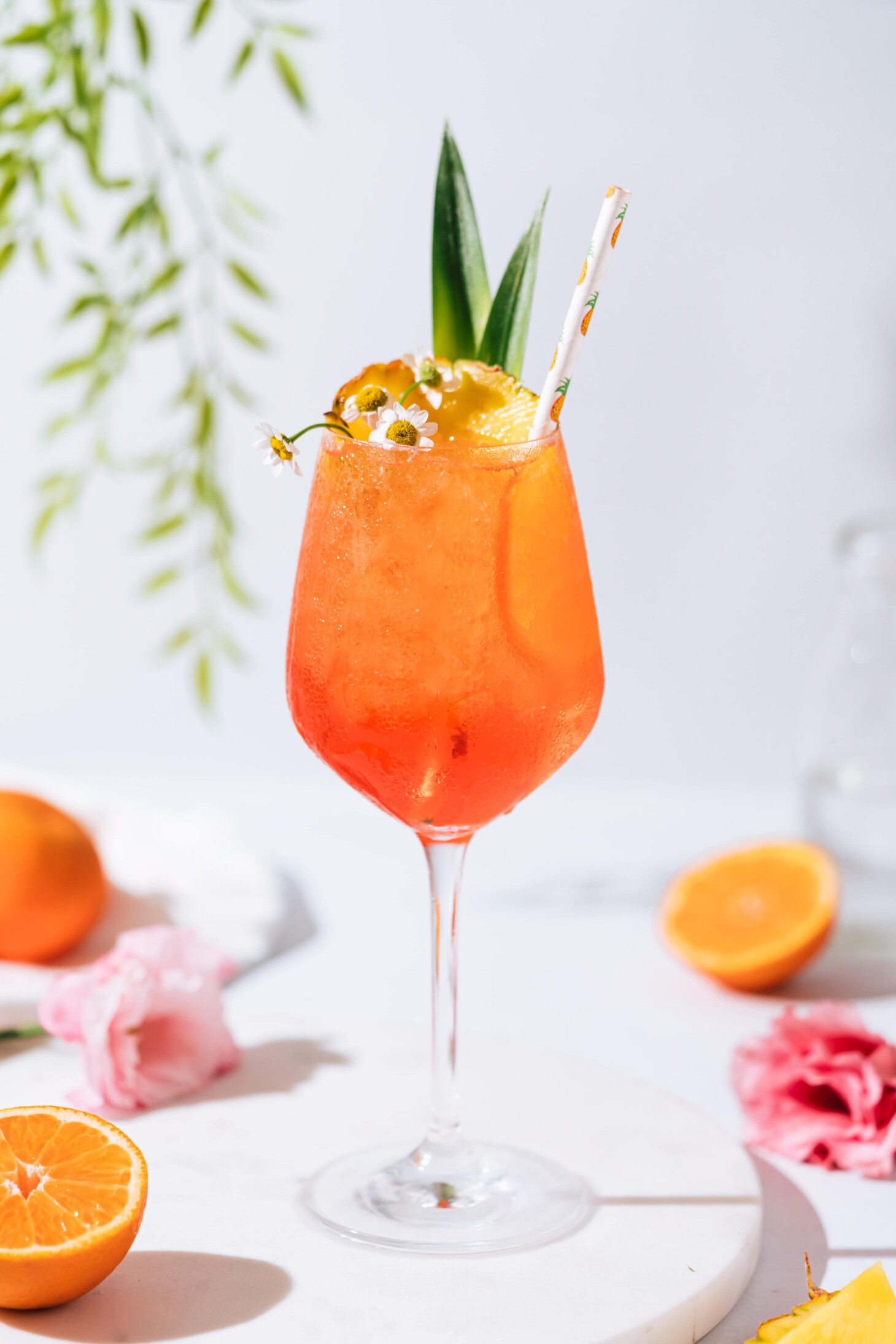 4 Refreshing Spritz Recipes to Try - The Social Sipper