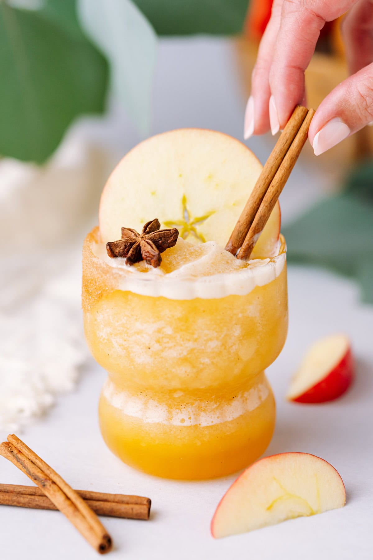 Apple Cider Slushy (Frozen Mocktail) - The Social Sipper